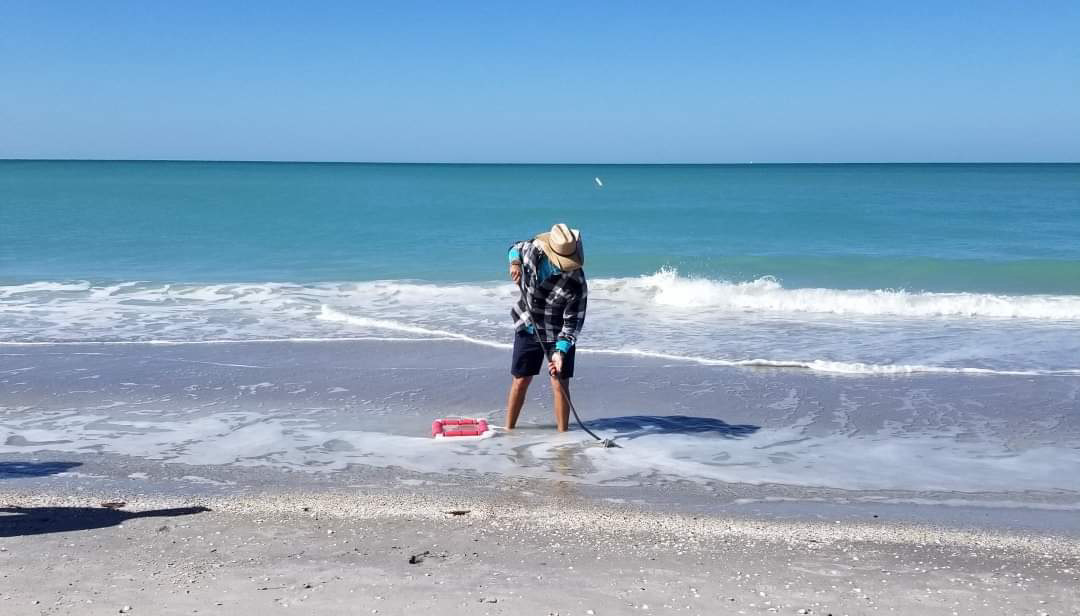 Manasota Key Guided Shark Tooth and Seashell Hunting Eco-Tour ...
